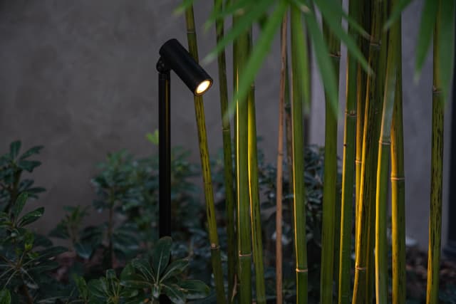 Locus Spotlight Series | Unios