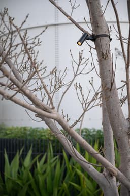 Locus Spotlight Series | Unios