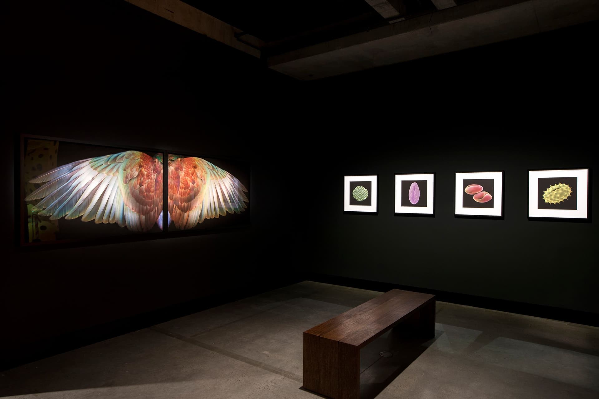 The Art of Museum Lighting | Unios